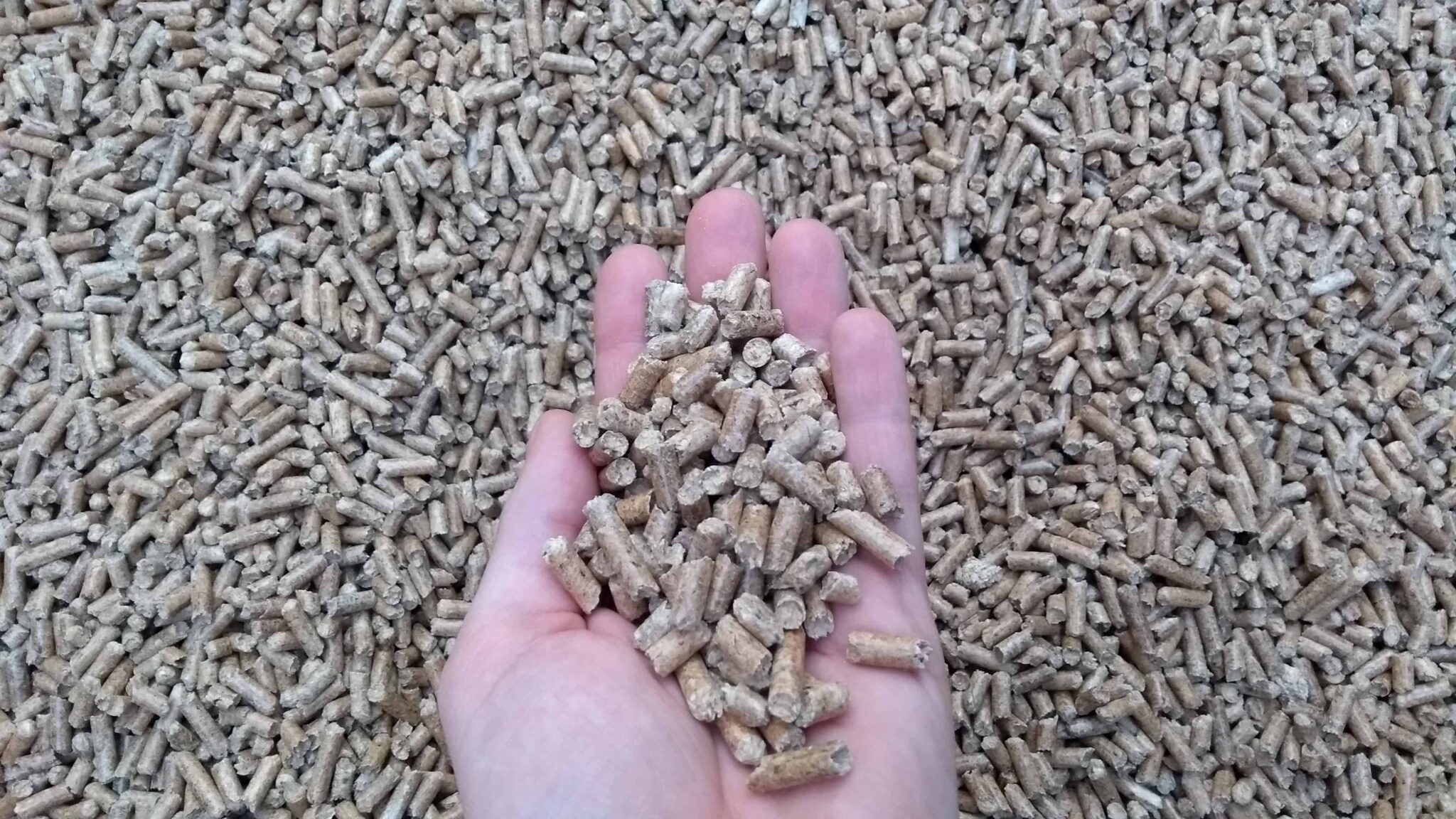 Adieu Pénuries : 12 étapes pour faire vos pellets vous même. Et ...