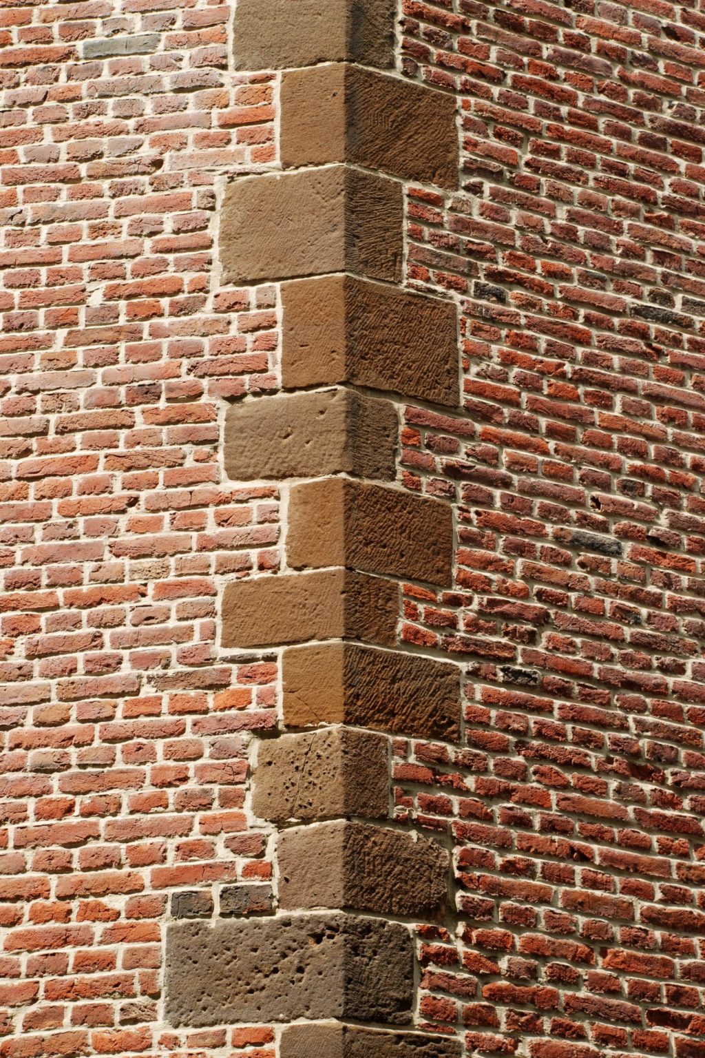 Construire sa maison en bois cordé : avantages, prix et techniques ...